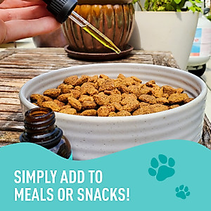 Nature's Synergy Hemp Oil for Dogs, Cats & Pets, Omega 3 6 9 Fatty Acids for Hip and Joint Support, Skin and Coat Health, Calming Dog Supplement to Support Stress from Travel, Separation, 1 Oz Bottle