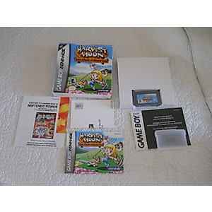 Harvest Moon More Friends of Mineral Town