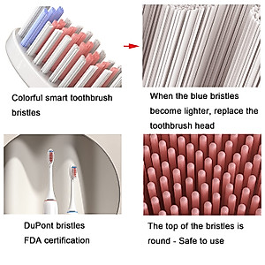 corpereal Portable Rechargeable 3 Mode Sonic Electric Toothbrush