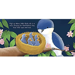 Night, Night to the Animals - Children's Padded Board Book - Bedtime Animals