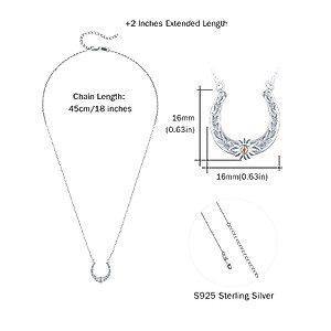 MEDWISE Lucky Horseshoe Necklace Gifts for Cowgirls Women Sterling Silver Horseshoe Daisy Necklace for Horse Lover Jewelry Birthday Christmas