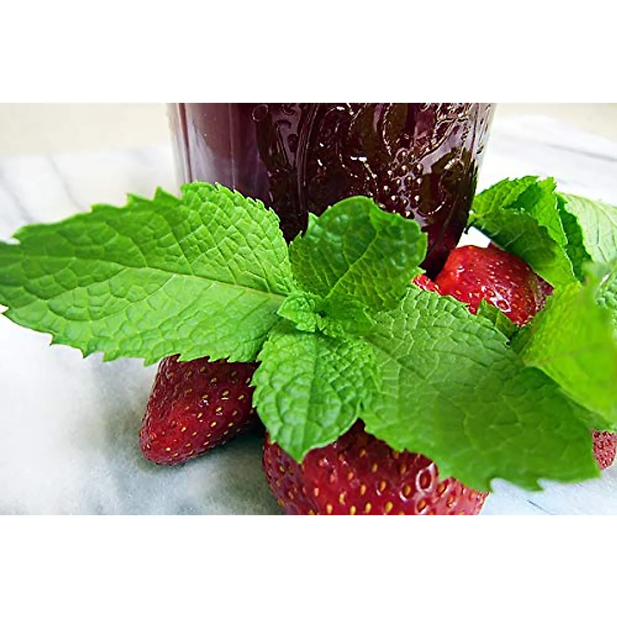 100+ Strawberry Mint Herb Seeds Non-GMO Fragrant Rare! US Grown!