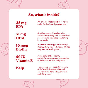 Bocce's Bakery Skin & Coat Supplement for Dogs, Daily Chews Made in The USA with Vitamin E & Essential Fatty Acids, Supports Healthy Skin & Coat, Salmon, 60 ct, Red (DG-SP-SKIN60)