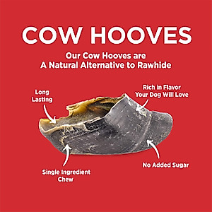 Barkworthies Natural Cow Hooves for Dogs (12 pk) – Single Ingredient Long Lasting Dog Chew – Grass Fed Free Range 100% Beef Cow Hoofs for Dogs – Promotes Dental Health
