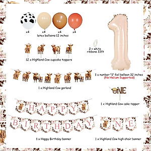 Highland Cow 1st Birthday Decorations Girl Pink Highland Cow Birthday Decorations Boho Highland Cattle Banner Cake Topper Balloons for Holy Cow Im One Farm Animal Birthday Party Supplies