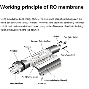 3-PC 3012-400 Gpd Replacement 0.0001 Micron Reverse Osmosis Membrane Filter Compatible Ro Fits Residential Water Filter Purifier
