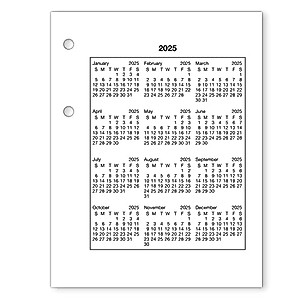 AT-A-GLANCE 2023 Daily Desk Calendar Refill, 3" x 3-3/4", Compact, Refill A, Loose Leaf (E91950)