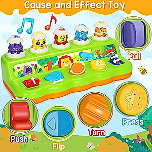 Duchong Interactive Pop Up Animals Eggs Toy with Music & Sound, Early Developmental Learning Sensory Toy for 1Year Old & 9-12-18 Months Baby, Girls & Boys