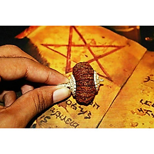 Astrodivine 21 Mukhi Rudraksha Original Certified Pendant Sterling Silver Real Nepal Bead Genuine Rudraksh Fruit 21 मुखी रुद्राक्ष पेंडल