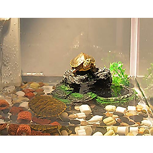 PINVNBY Turtles Dock for Aquarium Reptile Basking Platform for Turtles, Frogs, Newts (1 Pack)