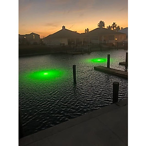 Saltwater Approved & Barnacle Burning Bulbs, Double Lamp Bright Green Underwater Fishing Light Kit, Dock & Fish Lights with 50' Cords (7,900 Lumens Each Bulb)