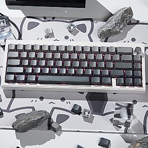 mintcaps Shine Through Keycaps -133keys PBT Doubleshot keycaps Gradient Side Print Cherry Profile Keycap Set for 60% 65% 75% 100% Cherry Gateron MX Switches Mechanical Keyboard