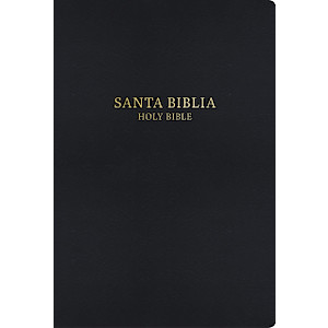Santa Biblia (Spanish Edition)