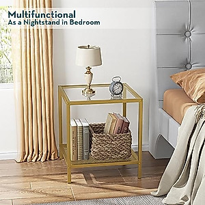 SAYGOER Glass Side Table Small Gold End Table for Small Spaces 2-Tier Square Night Stand with Storage Modern Bed Side Table with Gold Frame for Bedroom Living Room, Easy Assembly