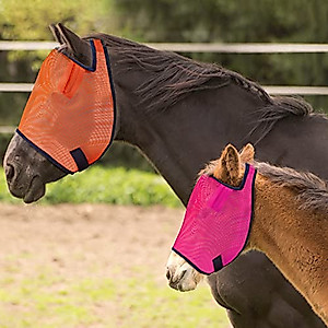 2 Pieces Horse Mask Protective Equine Mask Adjustable Comfort Horse Masks, L, Orange, Pink