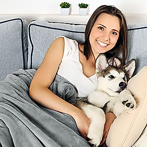 Waterproof Pet Blanket Collection– Reversible Throw Protects Couch, Car, Bed from Spills, Stains, or Fur – Dog and Cat Blankets by PETMAKER Large