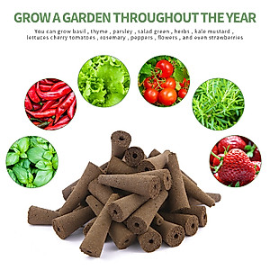TISOHUGO 50 Pack Grow Sponges, Seed Starter Pods Growth Sponges Compatible with AeroGarden, PH-Balanced Refill Pods Gardening Accessories for Hydroponic Indoor Growing System
