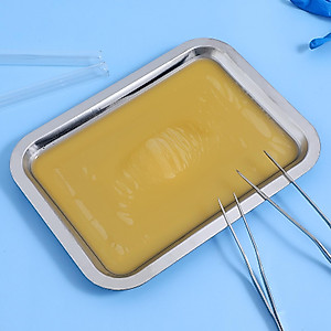 6Pack Premium Aluminum Dissection Pan with Wax, Disection Trays for Laboratory - Students - Science Experiments, 7" W 10" L