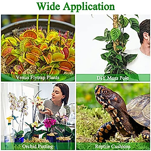 Legigo 5.3oz Premium Sphagnum Moss Potting Mix- Natural Succulent Carnivorous Plants Moss Dried, Plant Growing Medium for Orchid Succulent Sarracenia Orchid Gardening Plants Reptiles, 3 QT