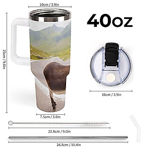 Niapessel Leak Proof Tumbler, Insulated Water Bottles with Straw, Funny Donkey Insulated Cup with Handle 40 Oz Stainless Steel Flask for School, Travel, Car, Sports, Work