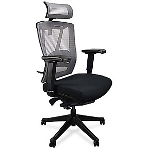 Autonomous ErgoChair - Premium Ergonomic Office Chair - All Black