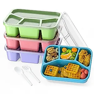 RGNEIN Bento Lunch Box and Snack Containers - 4 Compartments, Durable and Safe Lunch Containers for Adults Kids with Transparent Lid, Microwave Safe, BPA free - Set of 4 (PP (Green/Blue/Pink/Beige))