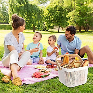 Roshtia 6 Pcs Plastic Mesh Storage Basket with Handle 9.8 x 10.2 x 7.1 Inch Garden Harvest Storage Basket Multi Functional Hanging Organizer for Kitchen Bathroom Picnic Cabinet Home(White)