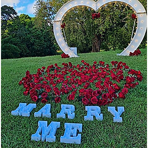 JUICYRAUL 7 LED Marquee Letter Lights Marry Me Sign，Marry Me LED Marquee Letter Lights，Marry Me Light up Letter Numbers for Romantic Proposal, Wedding Sign, Engagement Sign