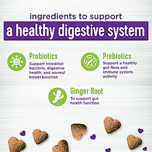 Wellness Pumpkin Patch Flavored Soft Chew Digestive Health Supplements for Dogs, 90 Count