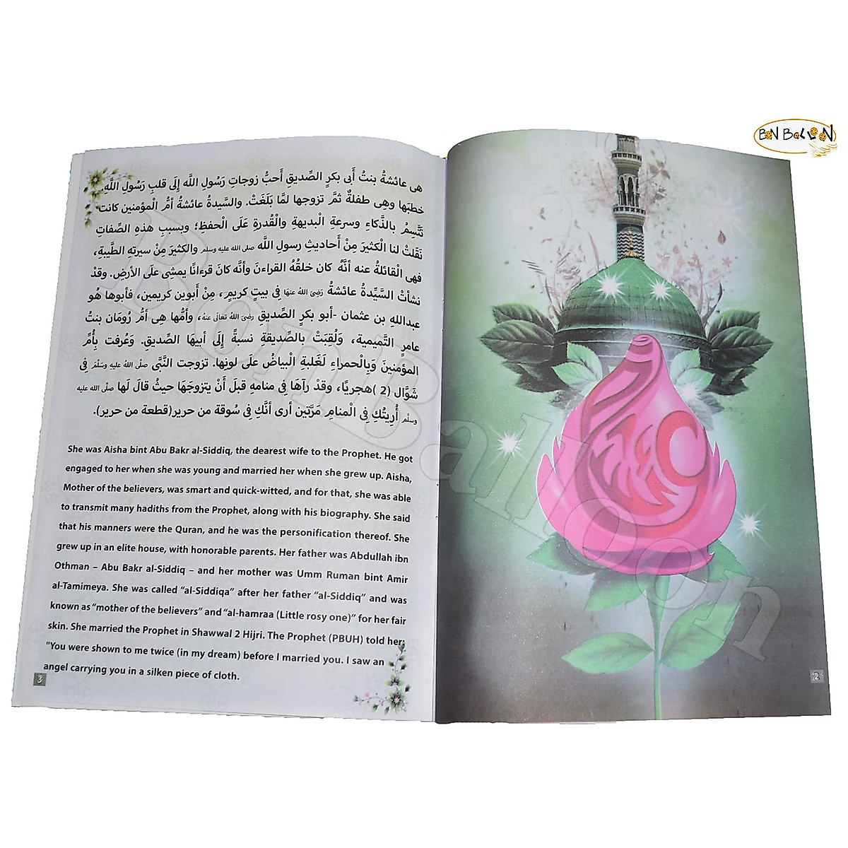 أمهات المؤمنين دار روان Set of 10 Books Arabic Children Toddlers Kids The Wives of The Prophet Peace Be Upon Him Preschool & Kindergarten Classrooms Stories Arabic Version Book Paperback - DAR Rawan