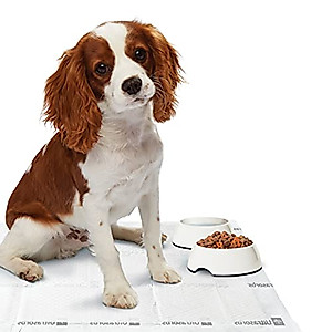 Medline Extrasorbs Premium Underpads, Disposable Bed Pads for Adult Incontinence, 30x36" (25 Count)