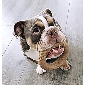 Pet Qwerks Chew Ring BarkBone - Durable Dog Toys for Moderate & Aggressive Chewers - Peanut Butter Flavor - 5.75"