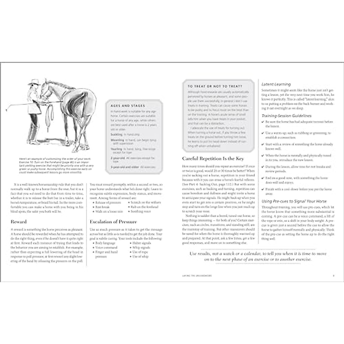 101 Ground Training Exercises for Every Horse & Handler (Read & Ride)