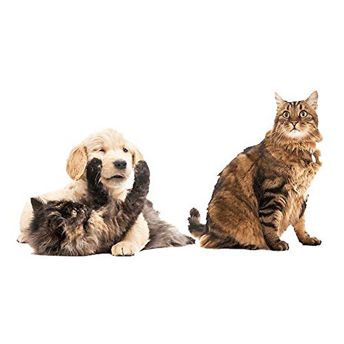 Joint Supplement for Dogs - PET Joint Health - Dogs and Cats - Turmeric and MSM - Increase Mobility - Decrease Inflammation - Premium - Dog glucosamine Pills - 2 Bottles (120 Tablets)