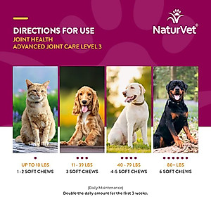 NaturVet Joint Health Level 3 Dog Soft Chew, 15.2 oz., Count of 240, 240 CT