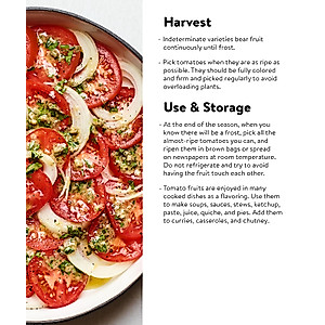 Burpee 'Big Boy' Hybrid Tomato Seeds, Large Slicing Tomato with Rich Flavor,50 Non-GMO Seeds