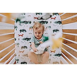 Sorrel + Fern Baby Crib Mobile (Starry Woodland Night, Long Evergreen) - Nursery Decoration Ceiling Mobile and Baby Shower for Boys & Girls