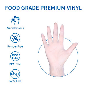 EDI Disposable Vinyl Gloves (Clear) - Powder-Free, Latex-Free (100, Medium)