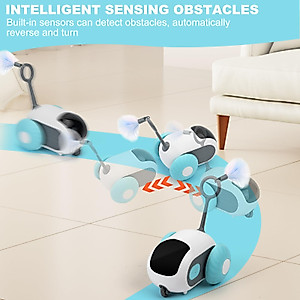 Turbo Tail 3.0 Cat Toy, Remote Control Cat Toy with 2-Speed Adjustment, Interactive Cat Toys for Indoor Cats, Rechargeable Automatic Cat Toys, Moving Cat Toy for Bored Indoor Adult Cat (Blue)