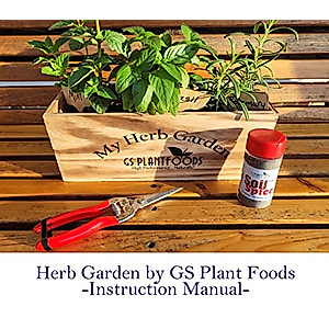 Herb Window Garden Gift Set- Complete windowsill herb Garden Growing kit Including Seeds, pots, Quality herb Clippers, Soil pods All in a Beautiful Planter Box. Hands on Gift Set.