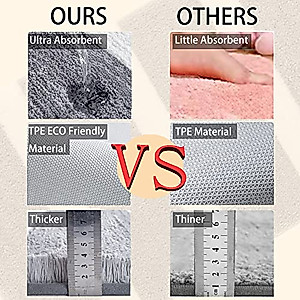 Ledordor Bathroom Rugs, Soft and Absorbent Microfiber Bath Mat, Machine Washable Rug for Bathroom Accessories, for Tub, Shower, and Bath Room