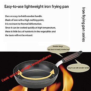 HOKURIKUALUMI Frying Pans Nonstick Iron Egg Pan Skillet Cookware Japanese Pans for Cooking Easy to Clean with Natural Wood Handle Made in Japan (Color: Black, 10 inches)