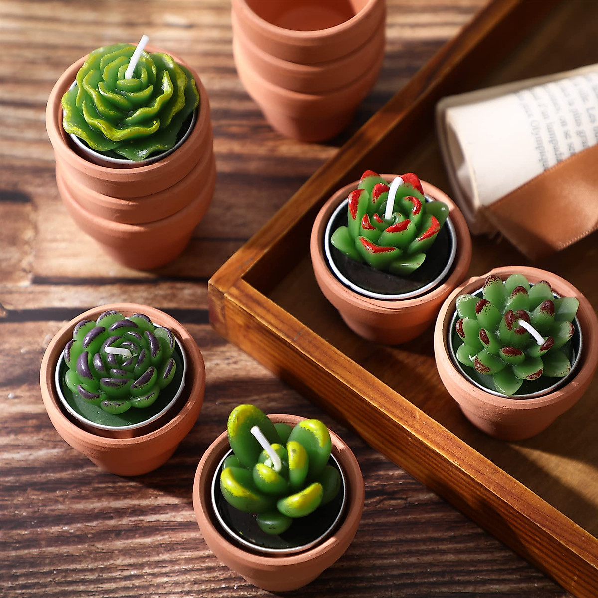 6 Pcs Succulent Candles Decorative Cactus Tealight Candle Novelty Tea Lights Handmade Baby Shower Candle Decorations Stylish Plant Candle with Mini Terracotta Clay Candle Holders for Birthday Wedding