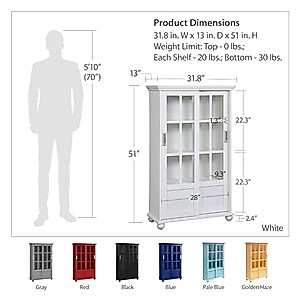 Ameriwood Home Aaron Lane Bookcase with Sliding Glass Doors, Pale Blue