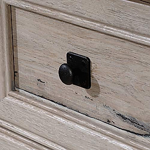 Sauder Palladia Computer Desk, L: 53.15" x W: 23.47" x H: 30.04", Split Oak finish