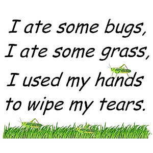 CafePress I Ate Some Bugs Mug Ceramic Coffee Mug, Tea Cup 11 oz