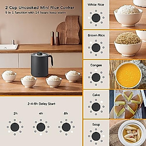 OCTAVO 2 Cup Rice Cooker Mini Small Size 5 Preset Function with 4/6/8 Delay Timer, 1.0L Rice Cooker with Portable Handle, Simplicity Glass Lid Small Rice Cooker for 1-2 People, Rice maker, black
