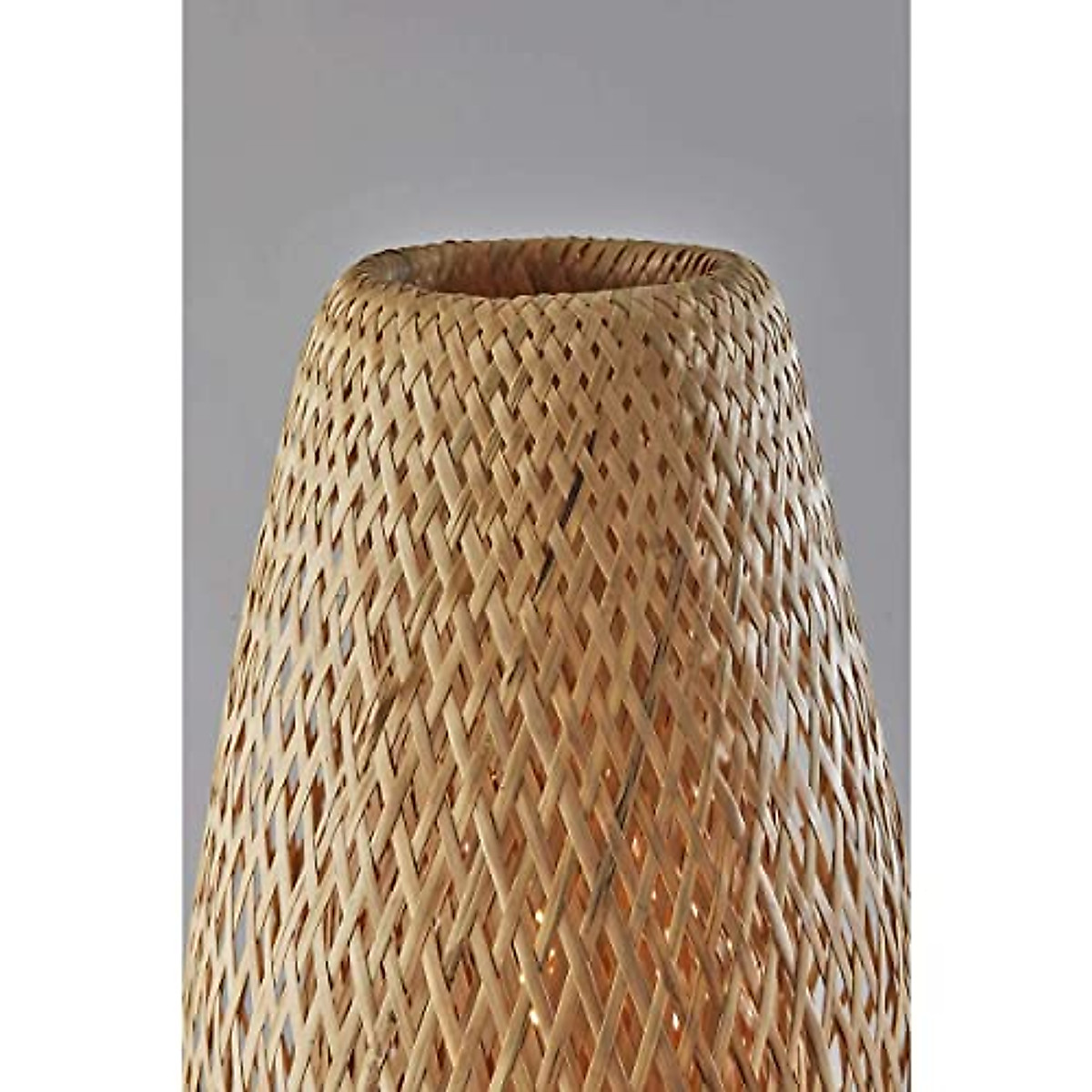 Adesso Hugo Floor Lamp