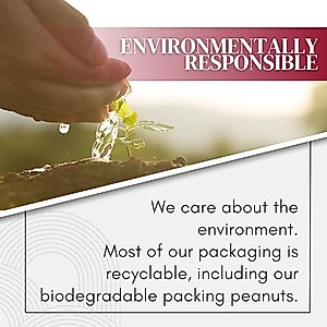 Circle E Candles, Bird of Paradise Scent, Large Size Jar Candle, 43oz, 4 Wicks