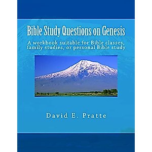 Bible Study Questions on Genesis: A workbook suitable for Bible classes, family studies, or personal Bible study
